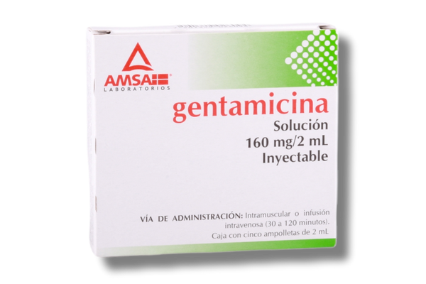 GENTAMICINA (AMSA) SOL. INY. C/5 AMP. 2 ML. 160 MG. – FarMás