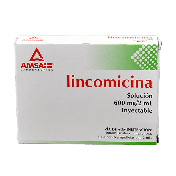 LINCOMICINA (AMSA) SOL INY C/6 AMP 600 MG – FarMás